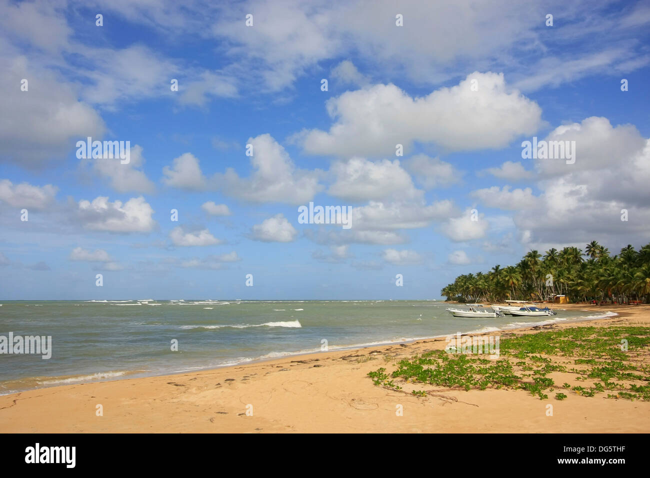 Las Terrenas beach, Samana peninsula, Dominican Republic Stock Photo ...