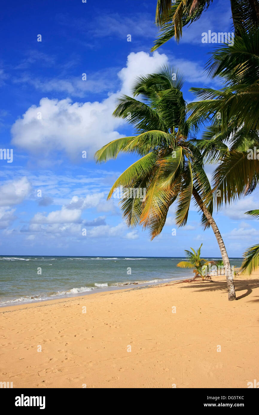 Las Terrenas beach, Samana peninsula, Dominican Republic Stock Photo ...