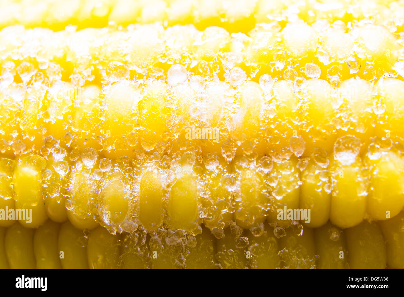 Sweet corn out of the refrigerator Stock Photo - Alamy