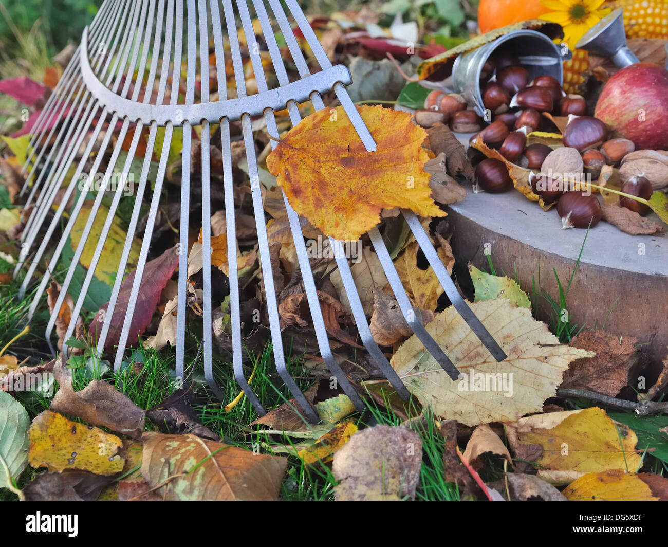 Rake leaves hi-res stock photography and images - Alamy