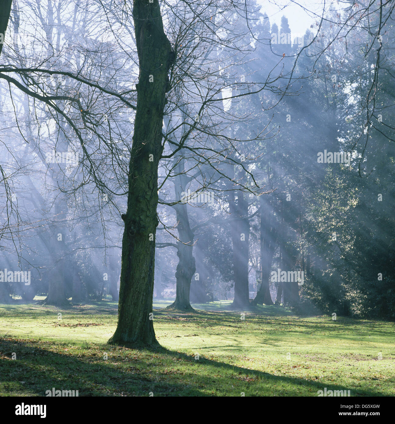 Ashridge House Gardens High Resolution Stock Photography and Images - Alamy