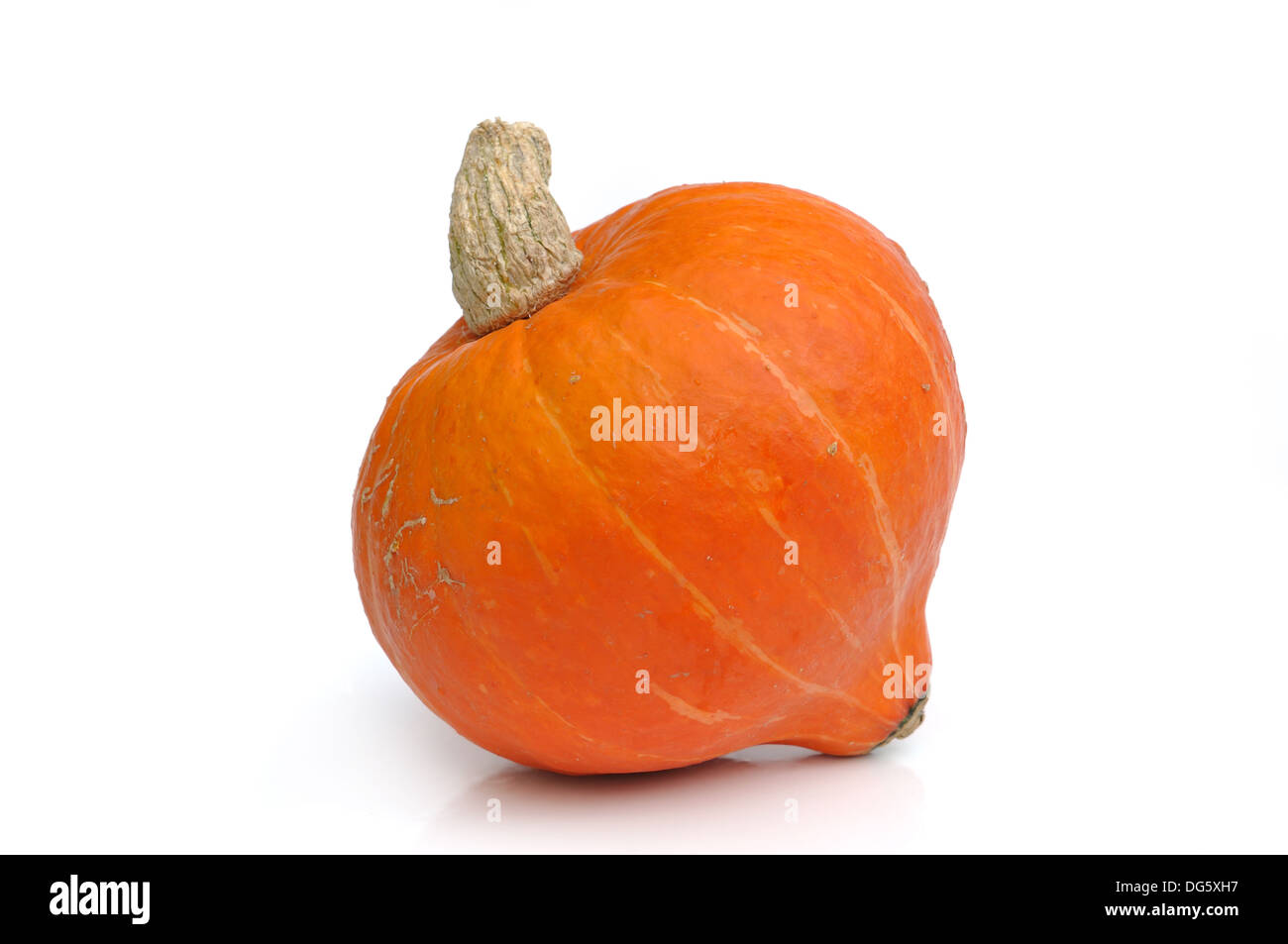 squash isolated on white background Stock Photo - Alamy