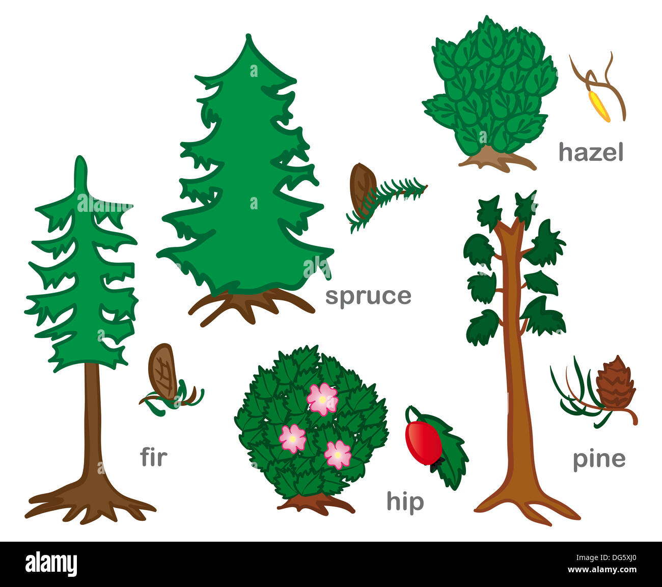 Green vegetation trees shrubs Cut Out Stock Images & Pictures - Alamy