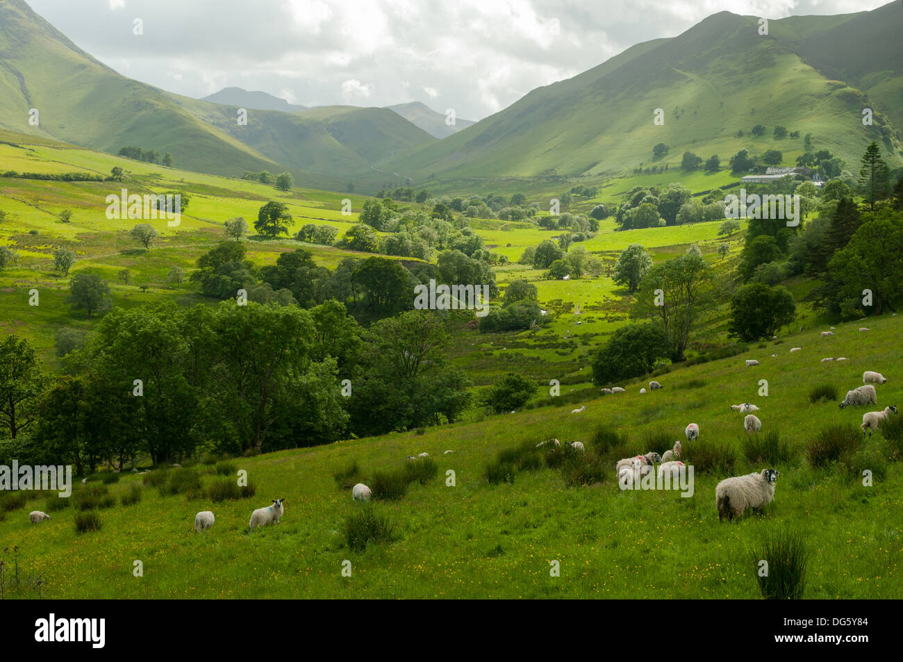 Newlands valley view hi-res stock photography and images - Alamy