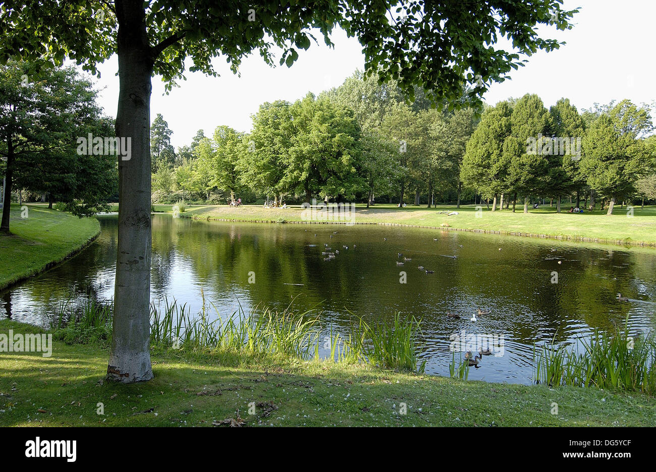 Tranquillity amsterdam hi-res stock photography and images - Alamy