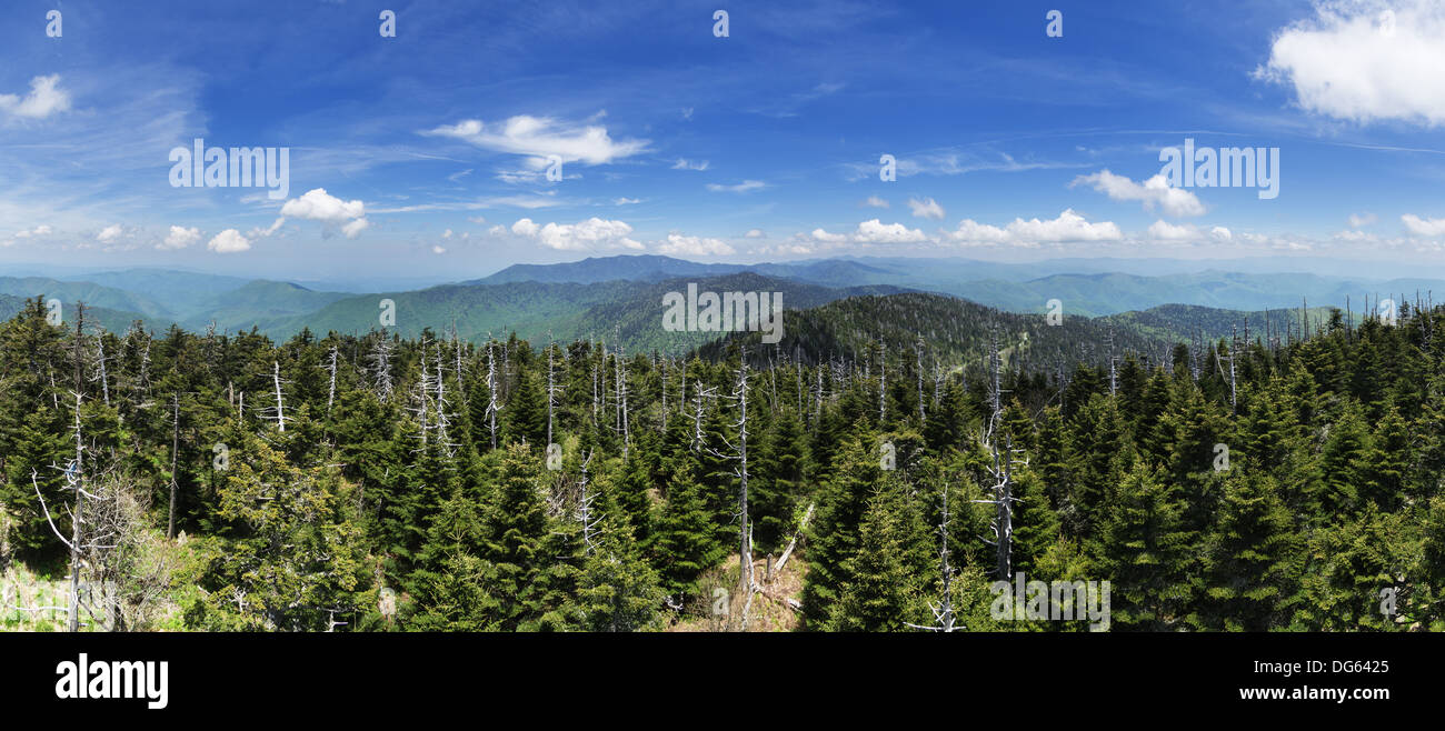 panorama looking north from the summit of Clingmans Dome the highest ...
