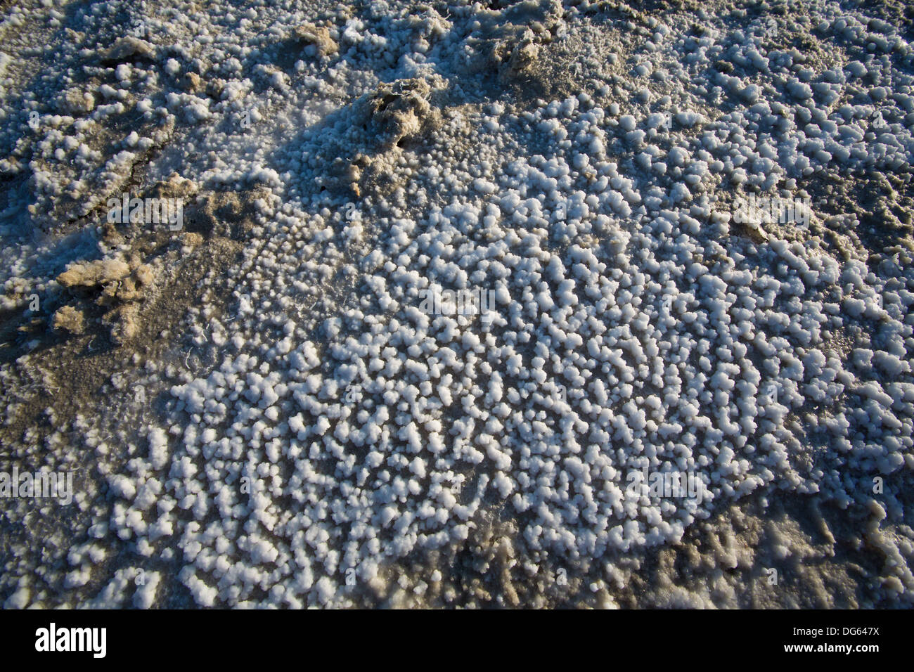 Natural salt at Bonneville Salt Lake Flats Stock Photo - Alamy