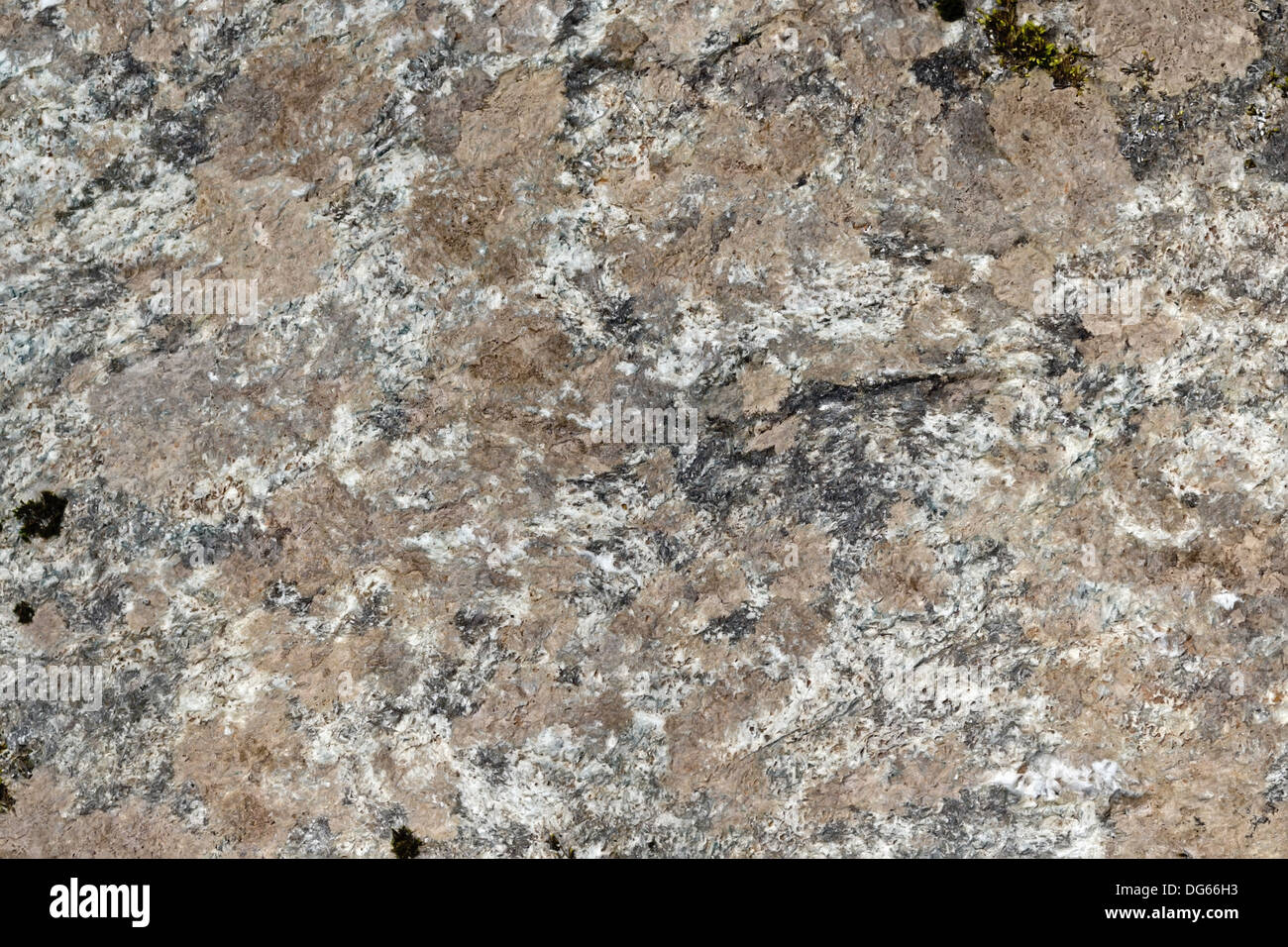 The texture of natural brown with white and black spots granite stone ...