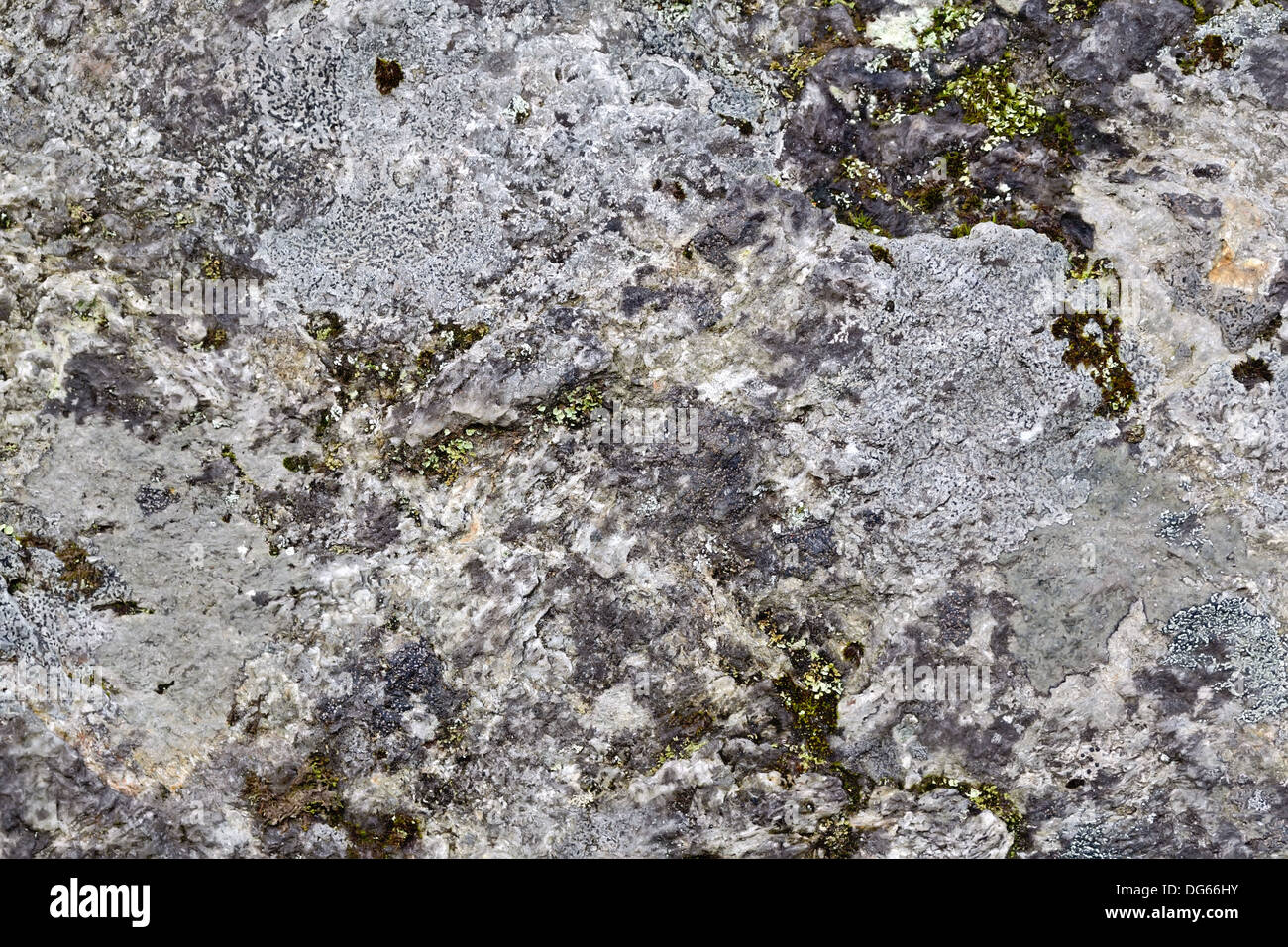 Mottled with moss green pattern hi-res stock photography and images - Alamy