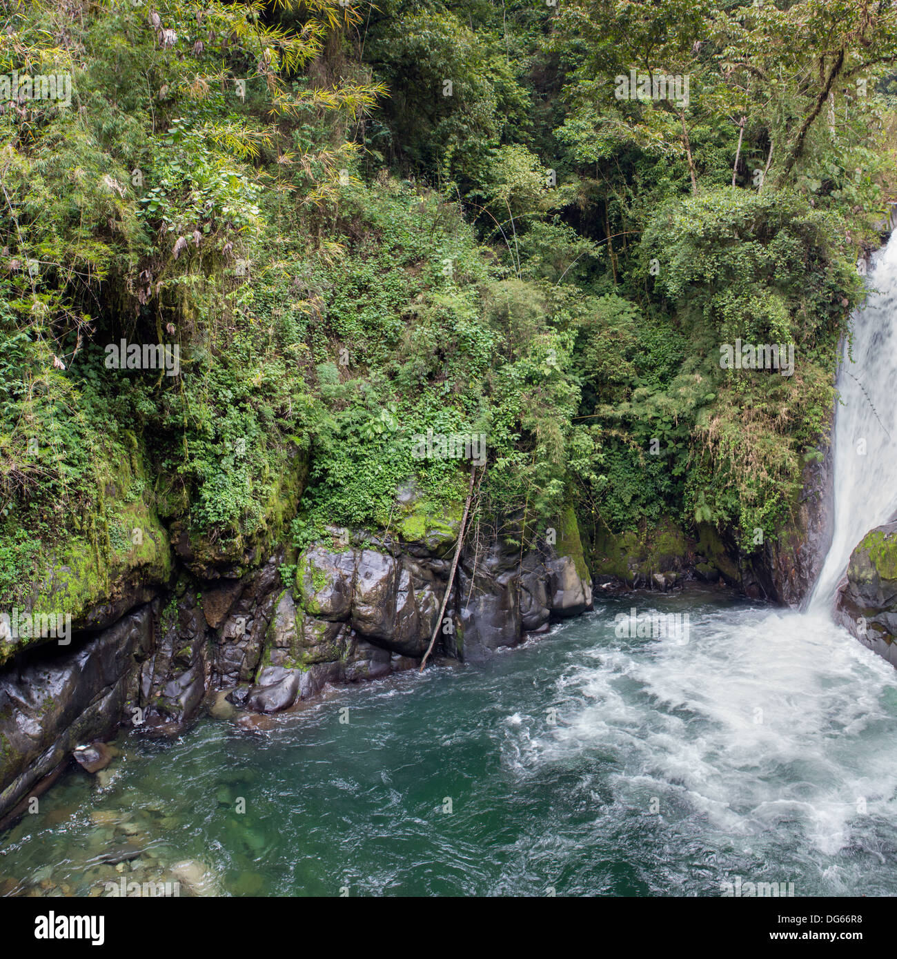 Square format hi-res stock photography and images - Alamy