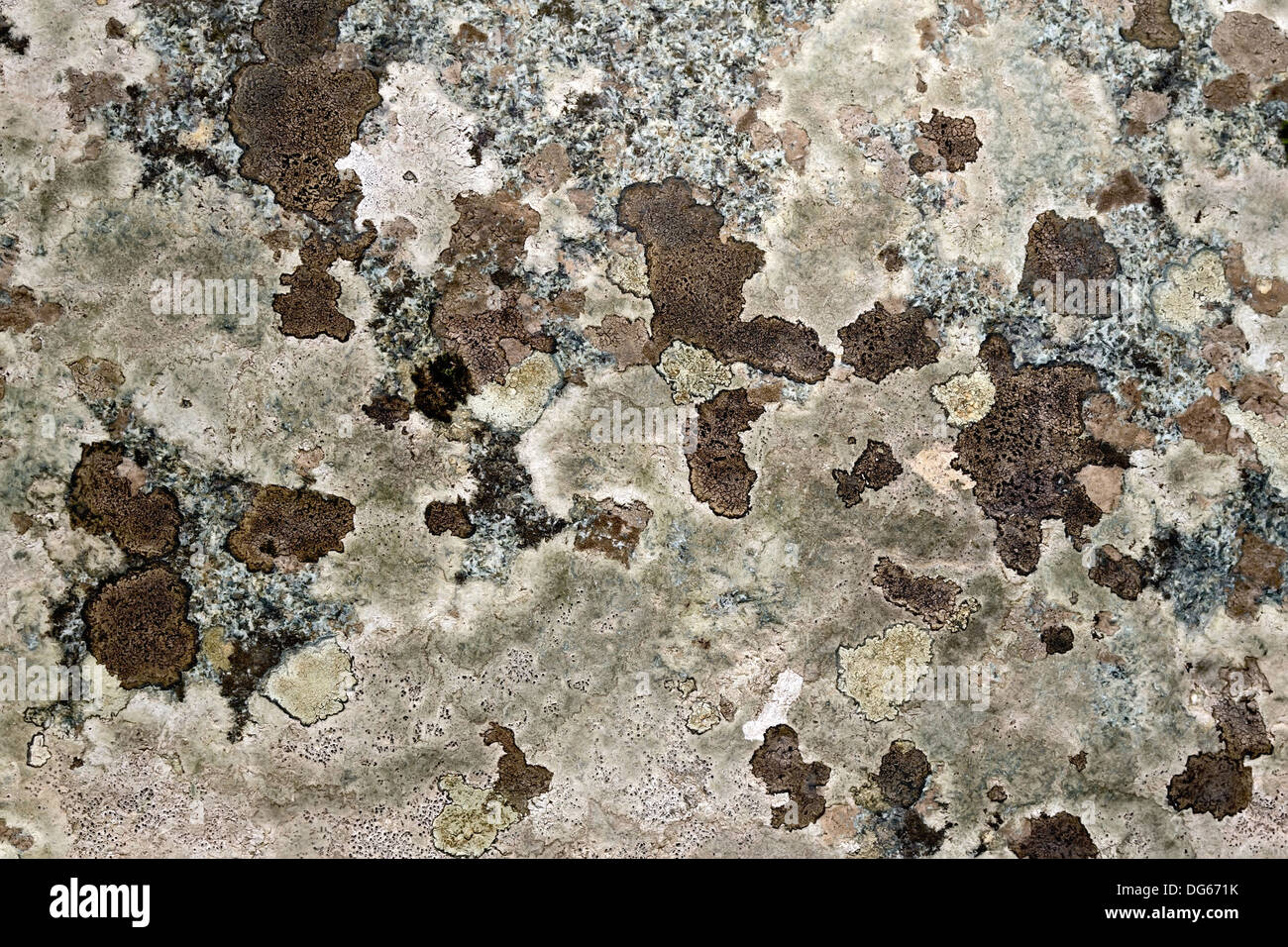 The texture of natural brown-spotted pink granite stone Stock Photo - Alamy