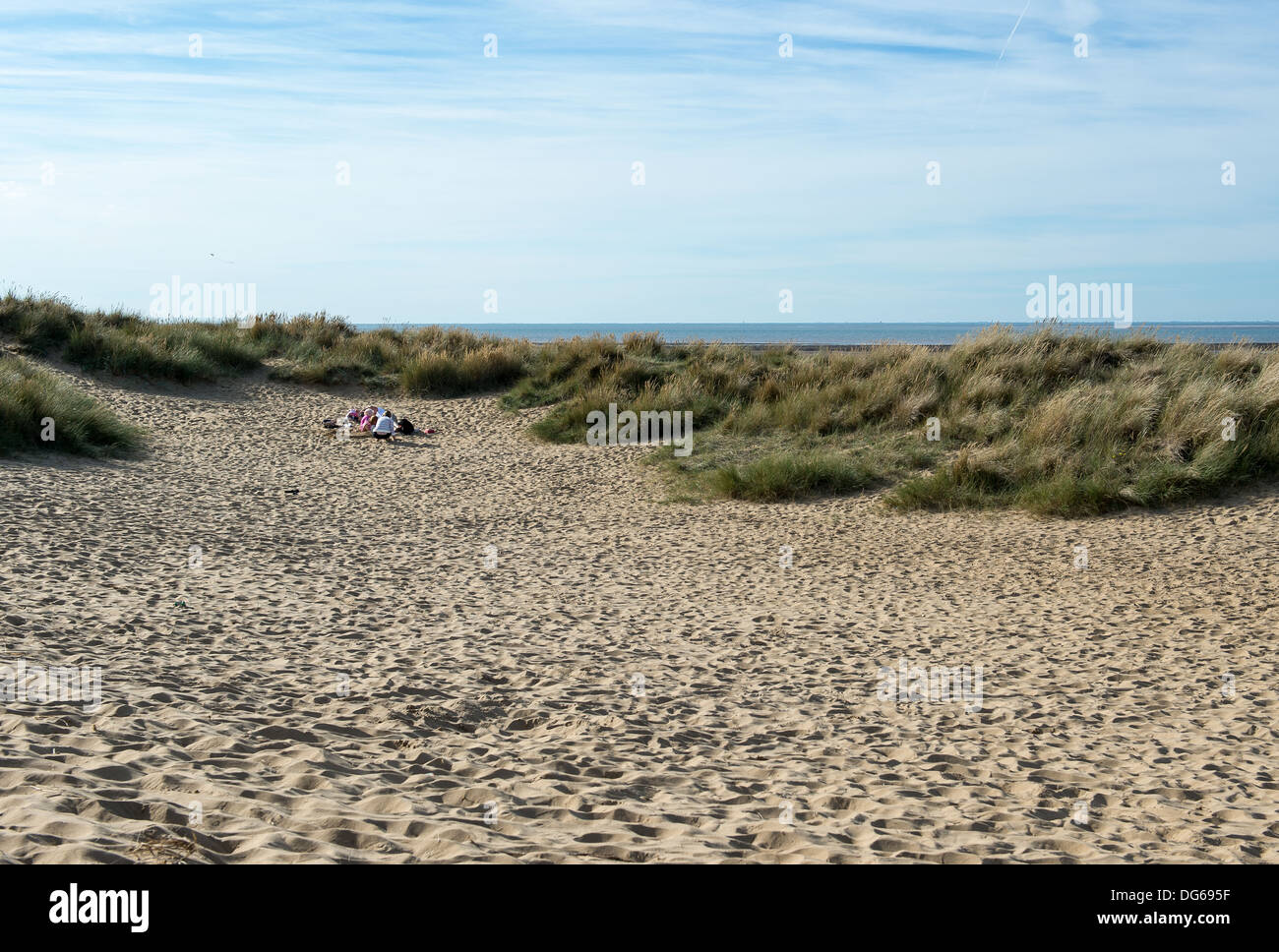 Sand couch grass hi-res stock photography and images - Alamy