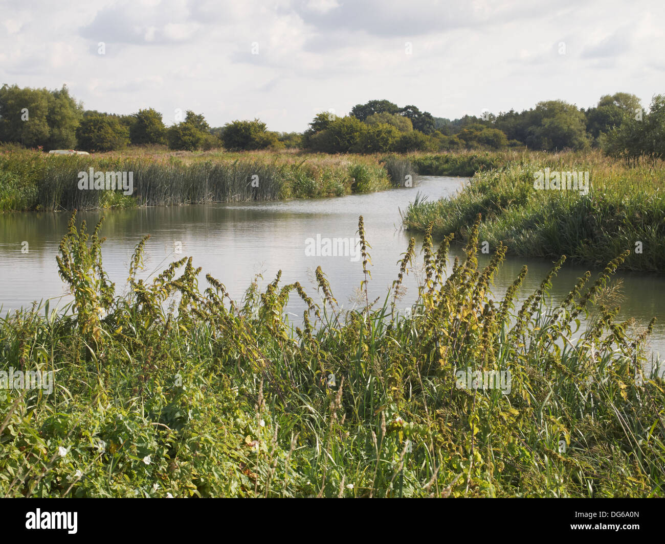 Tadpole bridge hi-res stock photography and images - Alamy