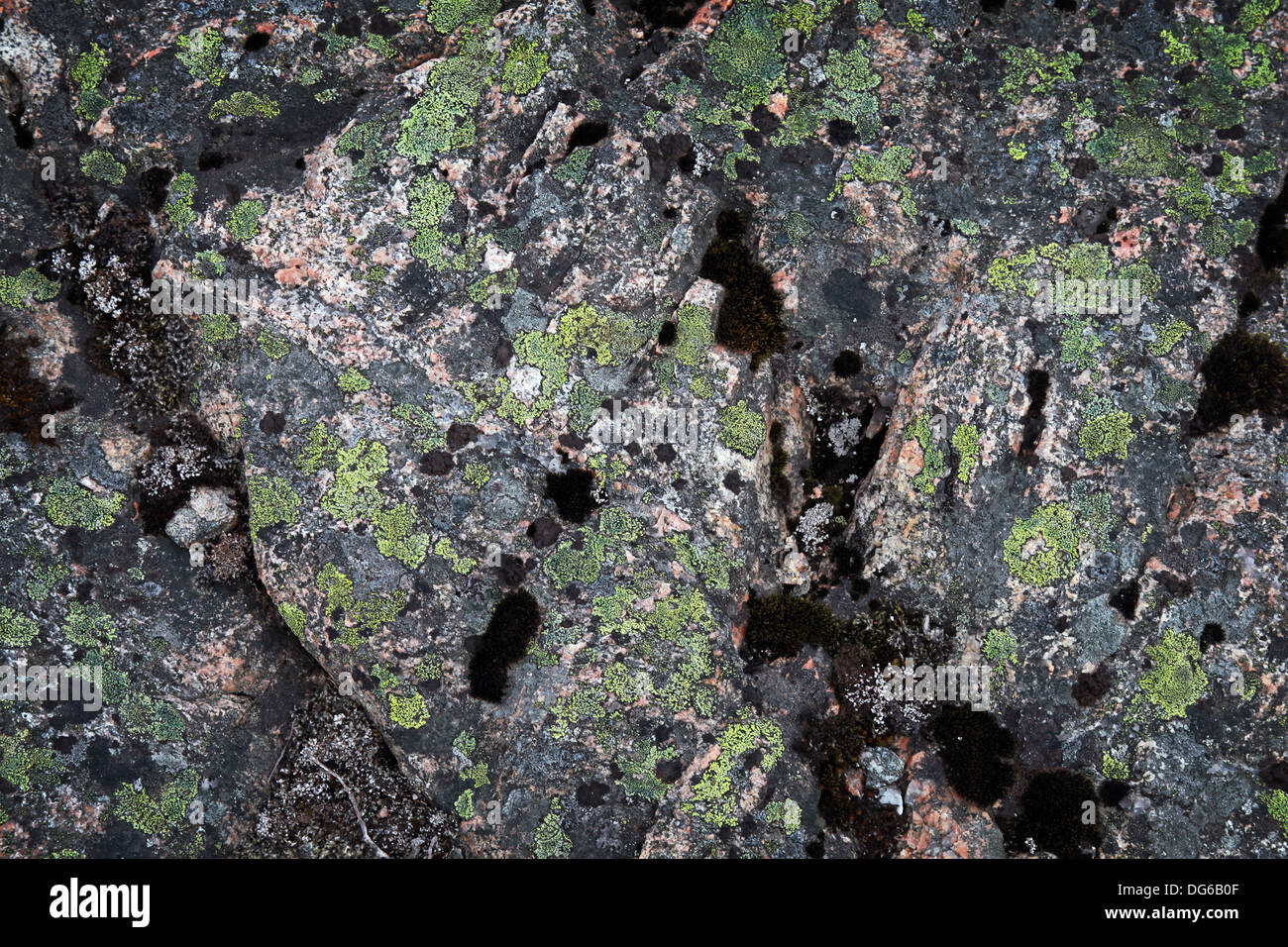 Dark granite stone texture with green lichen Stock Photo - Alamy