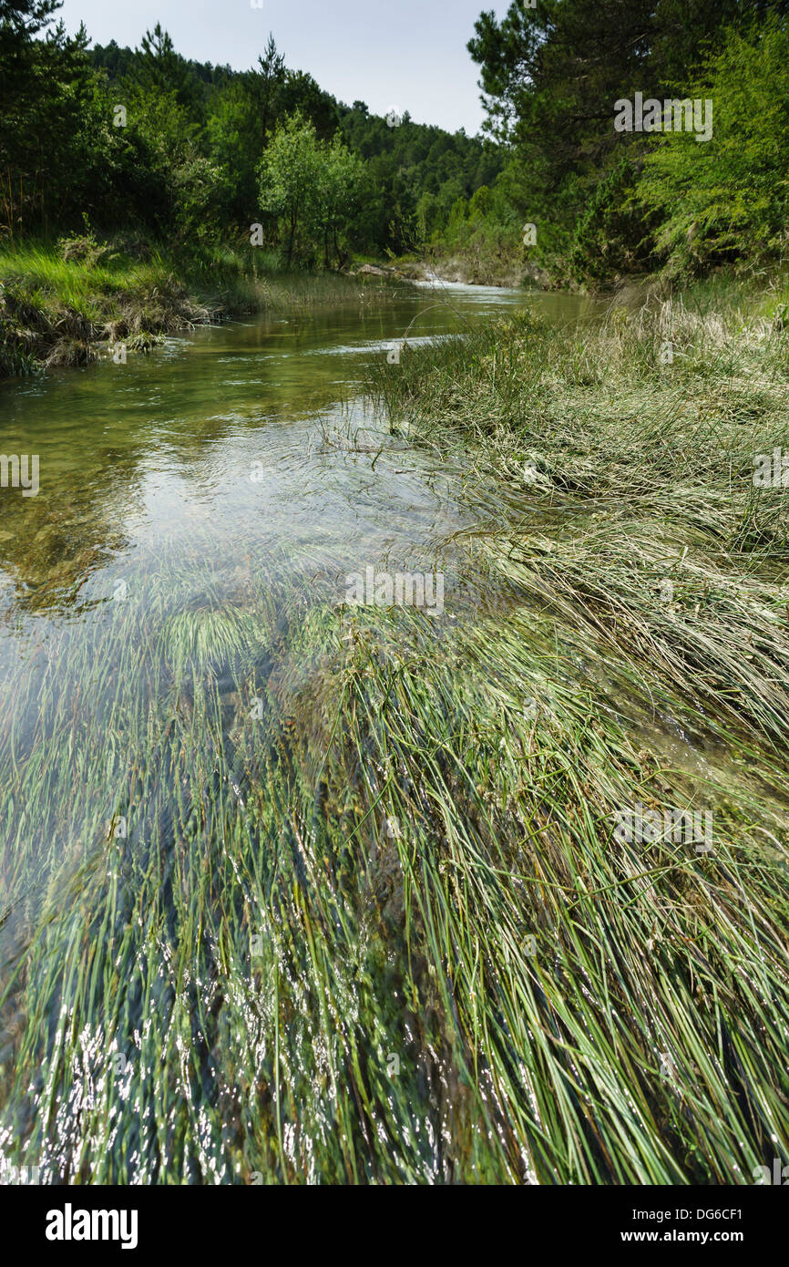 North-West Spain - Barranco de Bernues. Mountain meadow stream Stock ...