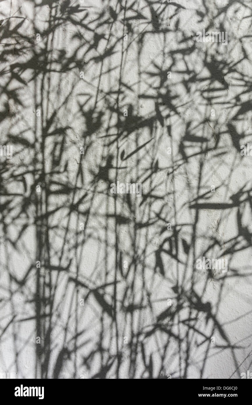 Bamboo country hi-res stock photography and images - Alamy