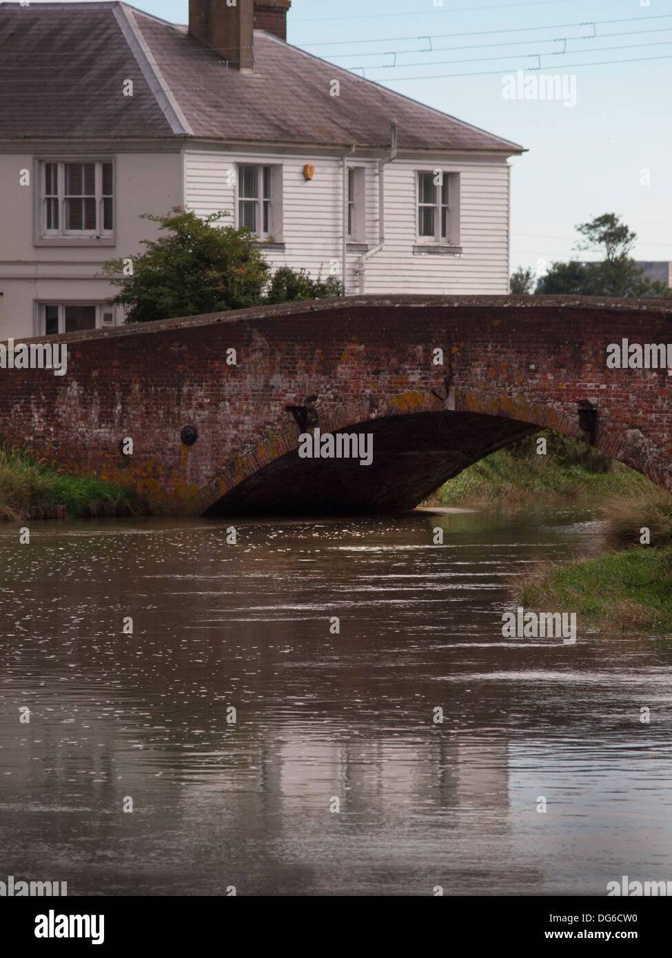 Beeding hi-res stock photography and images - Alamy