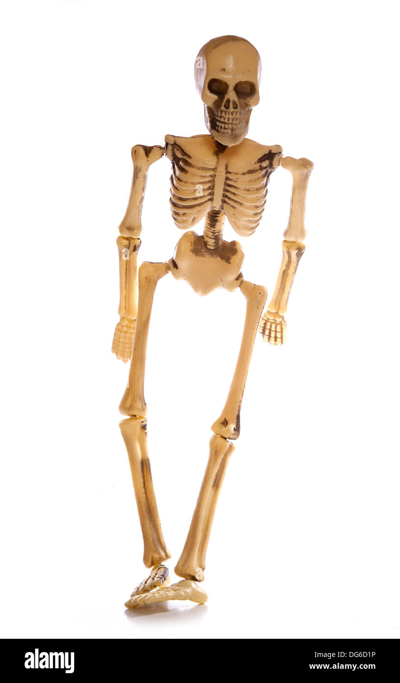 Skeleton cut out hi-res stock photography and images - Alamy