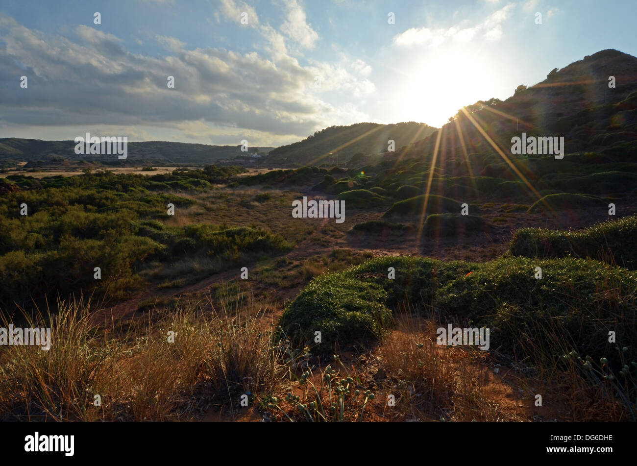 Menorca coastal vegetation hi-res stock photography and images - Alamy