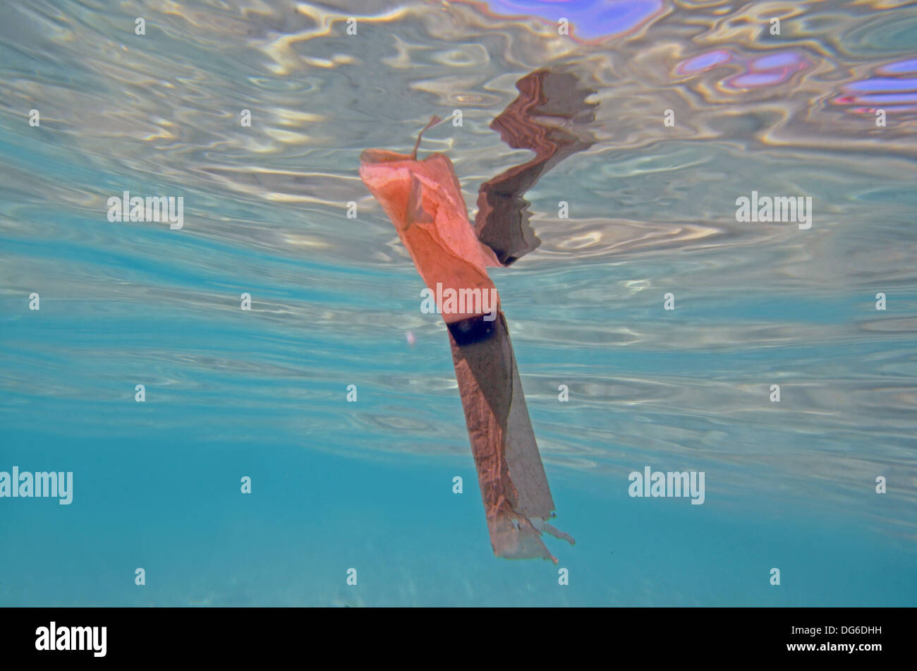 Underwater view of piece of trash floating in the water Stock Photo - Alamy