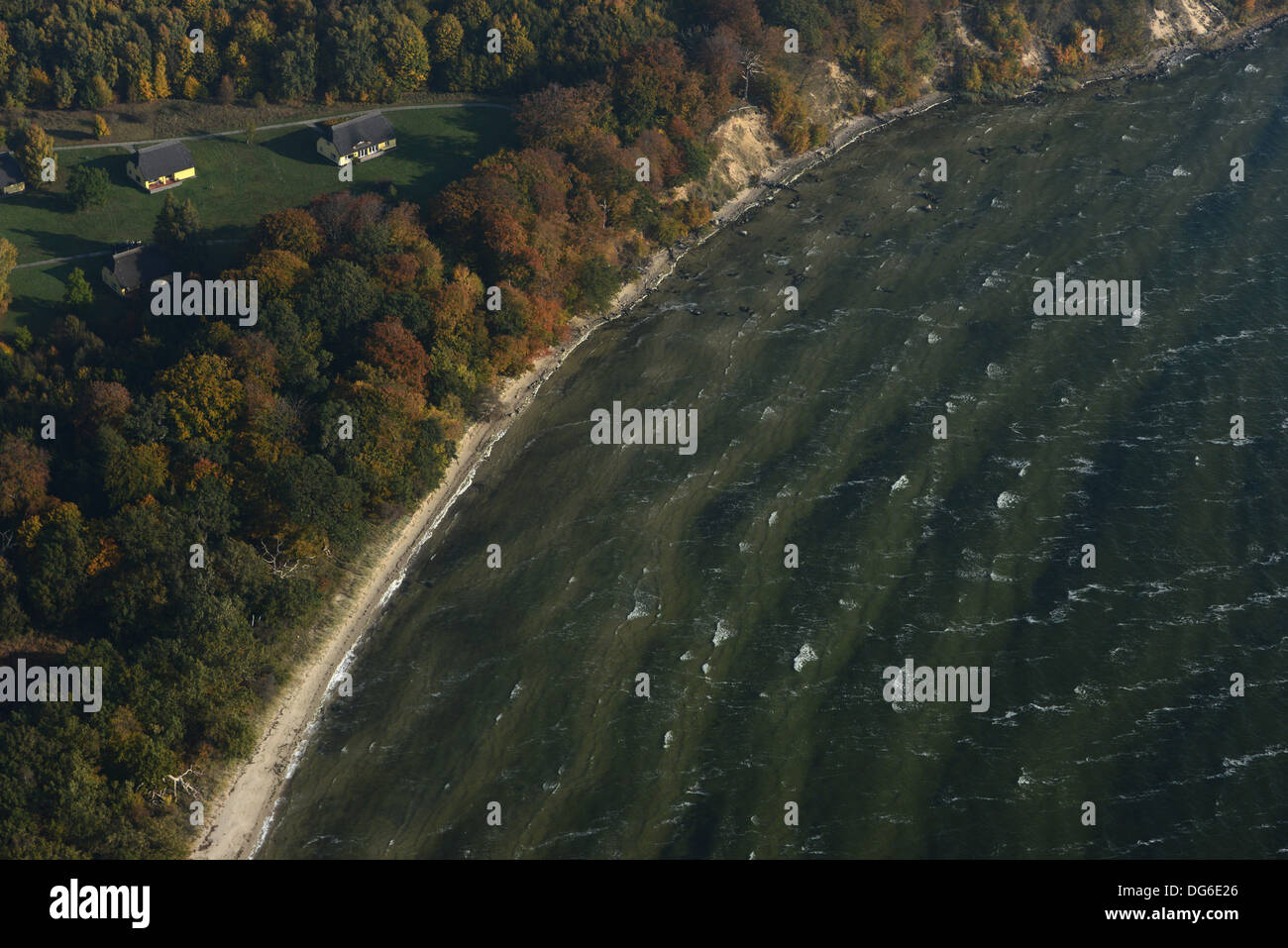 Vilm, Germany. 15th Oct, 2013. A layer of Blue-Green Algae in the core ...