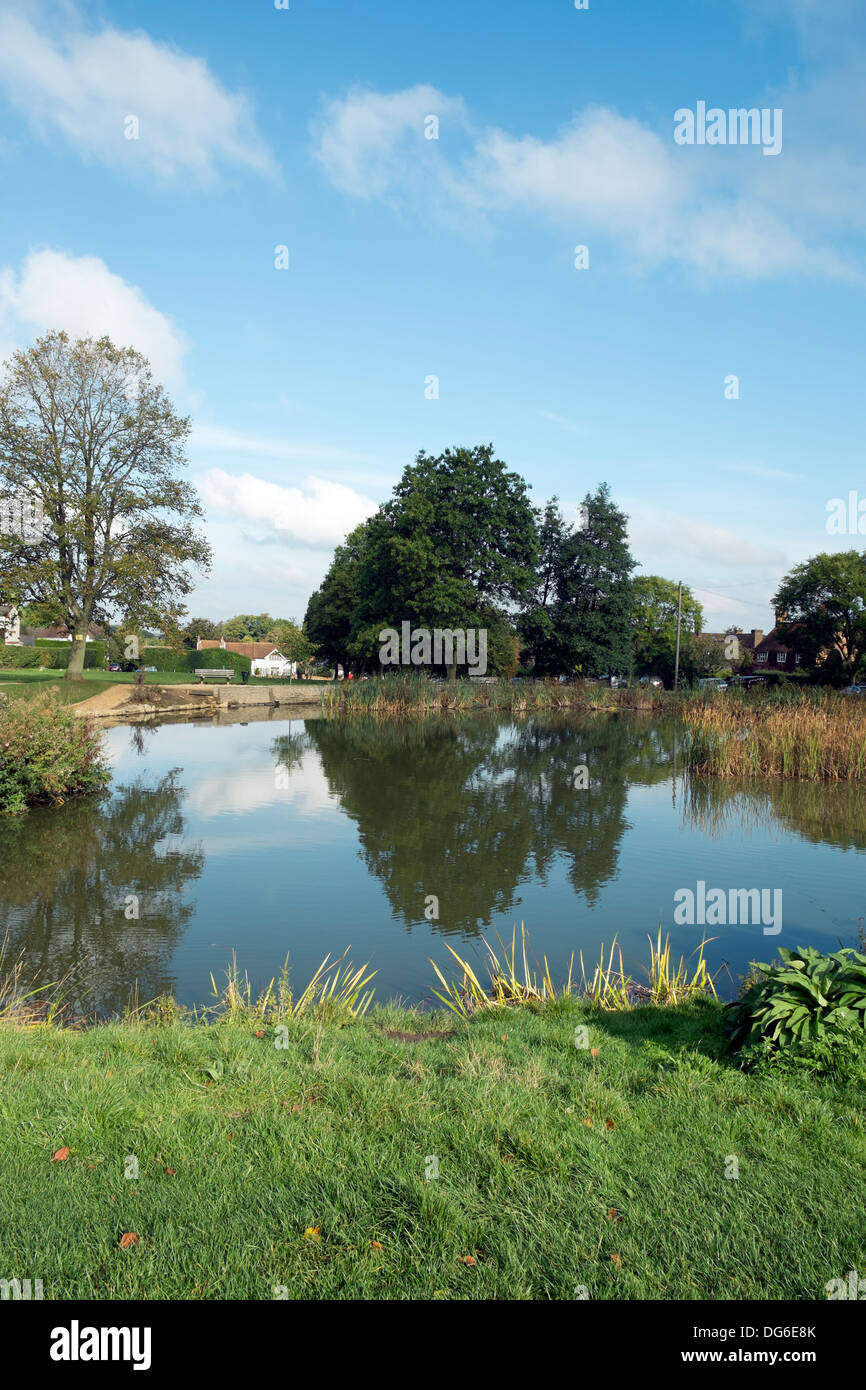 Pond in a village hi-res stock photography and images - Alamy