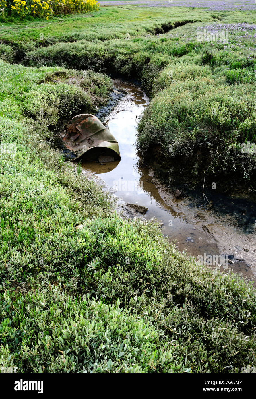Brook stream burn river hi-res stock photography and images - Alamy