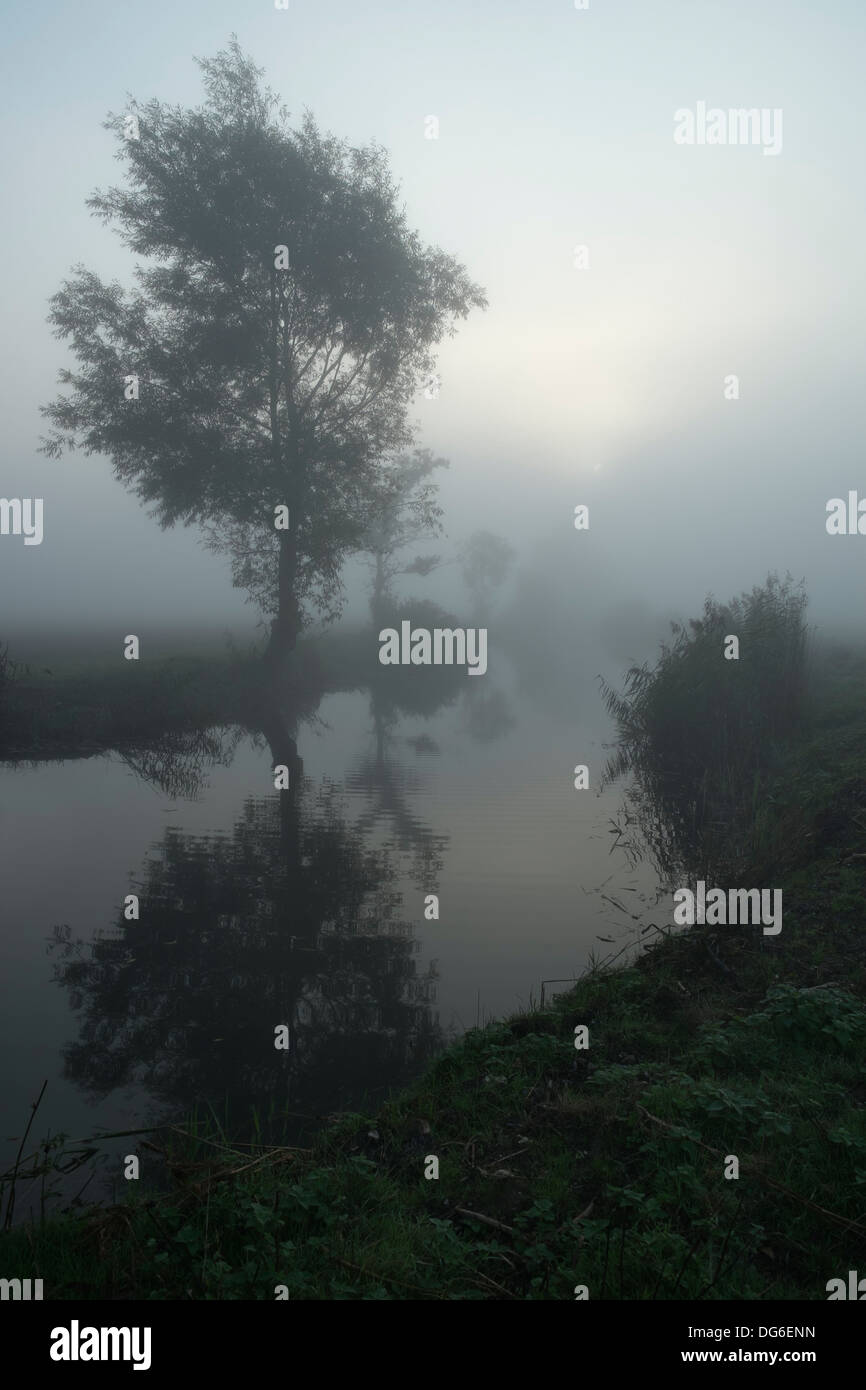 Dawn atmospheric mist over a River Thames backwater near Medmenham ...