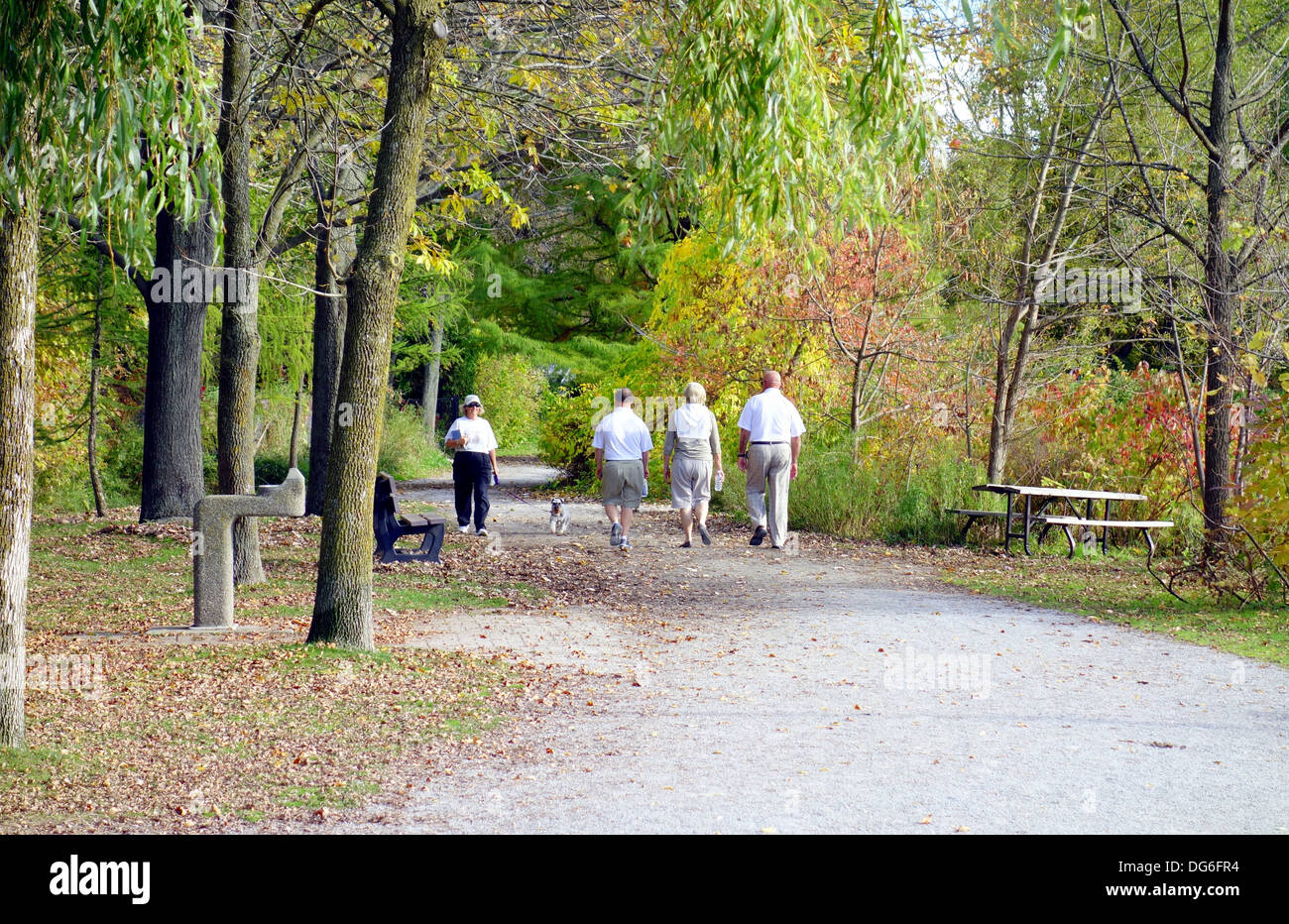 People walking in a park in Toronto, Canada Stock Photo - Alamy