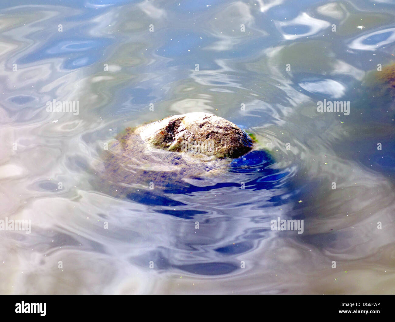 Lonely rock surrounded by water Stock Photo - Alamy