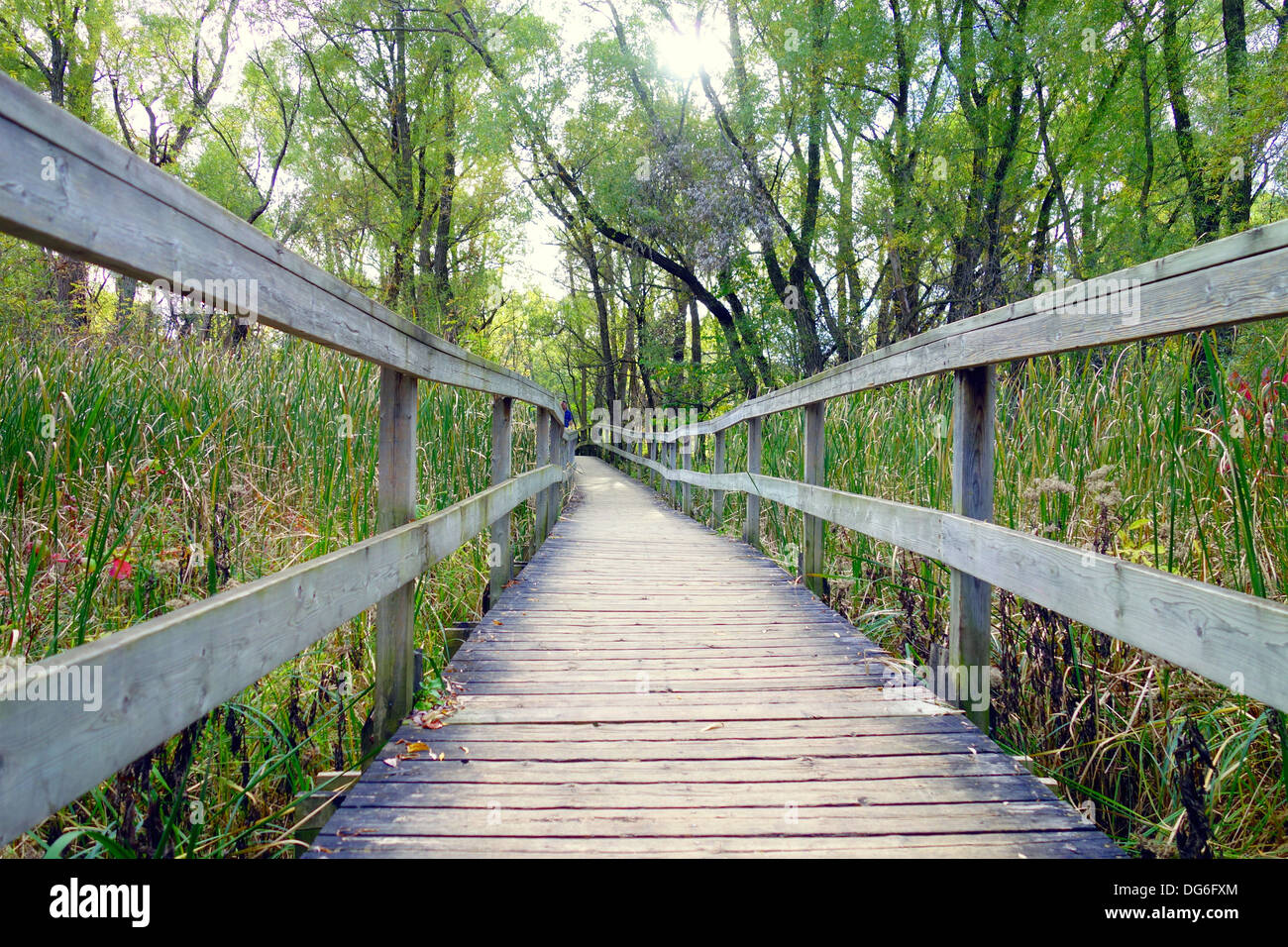 Wooden pedestrian bridge in a park in Toronto, Canada Stock Photo - Alamy