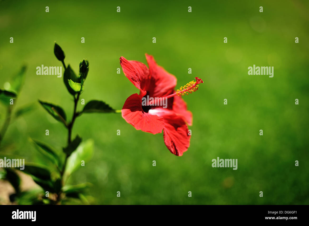 Tranquilred hi-res stock photography and images - Alamy