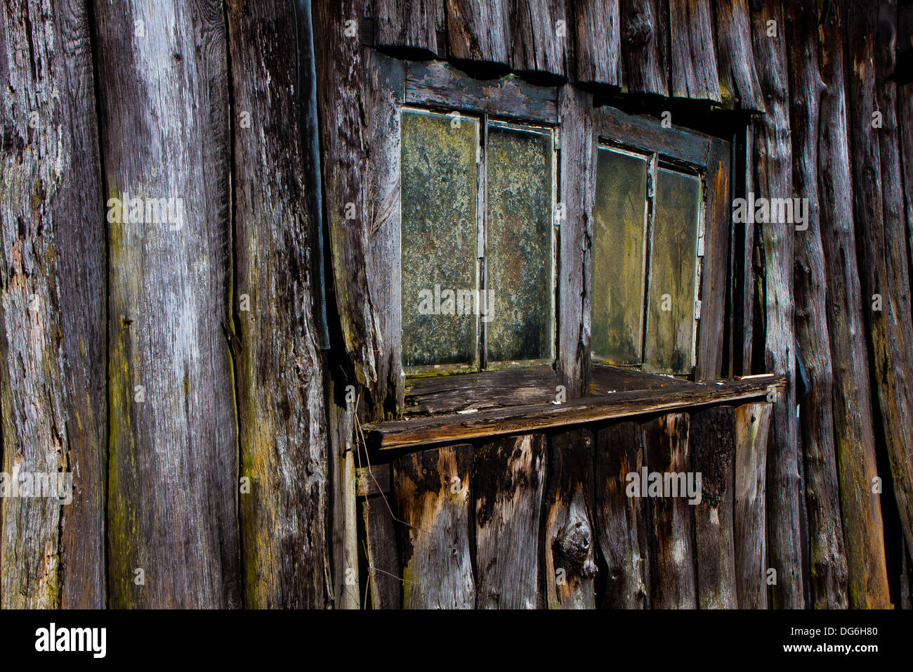 Two rotting & crooked window frames in an abandoned wooden building ...