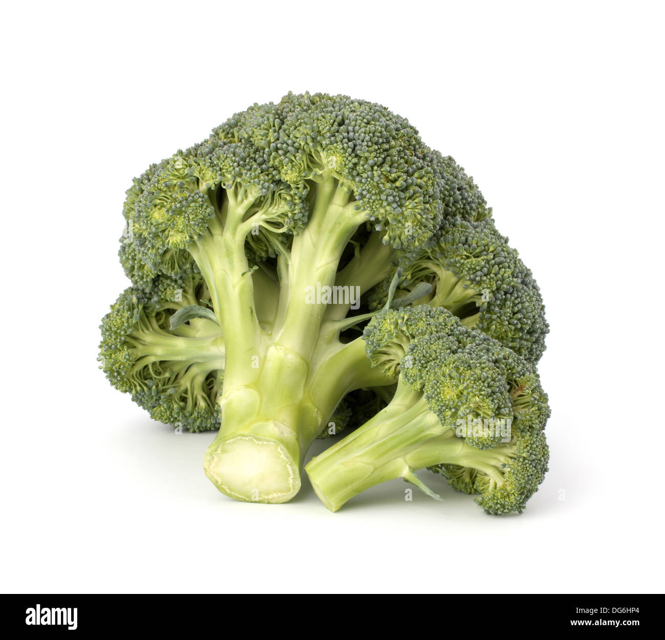 Broccoli vegetable isolated on white background Stock Photo - Alamy