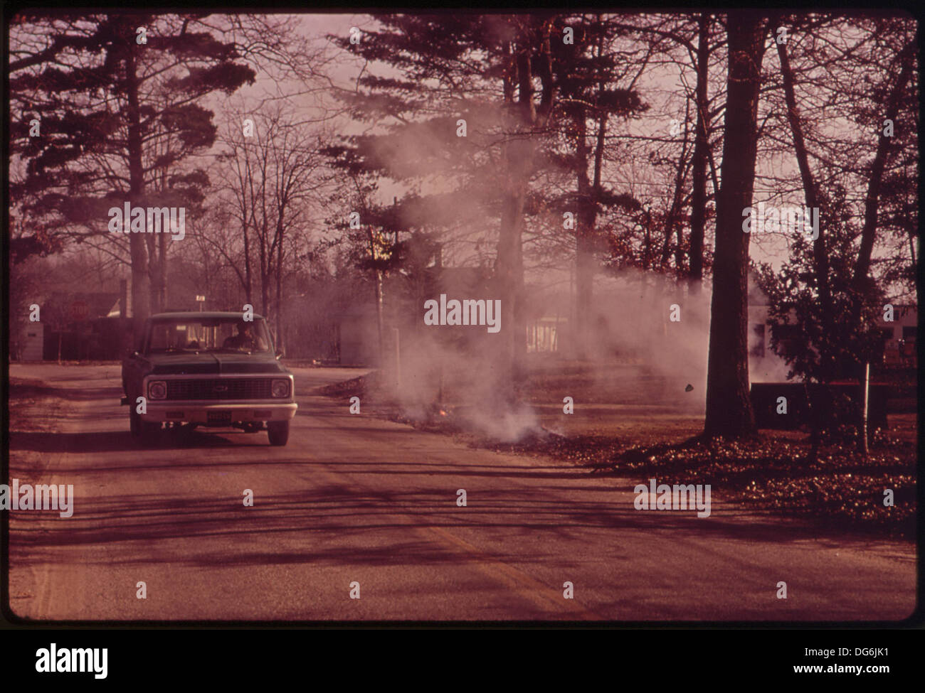 This image shows the process of burning leaves near Bass Lake, likely ...