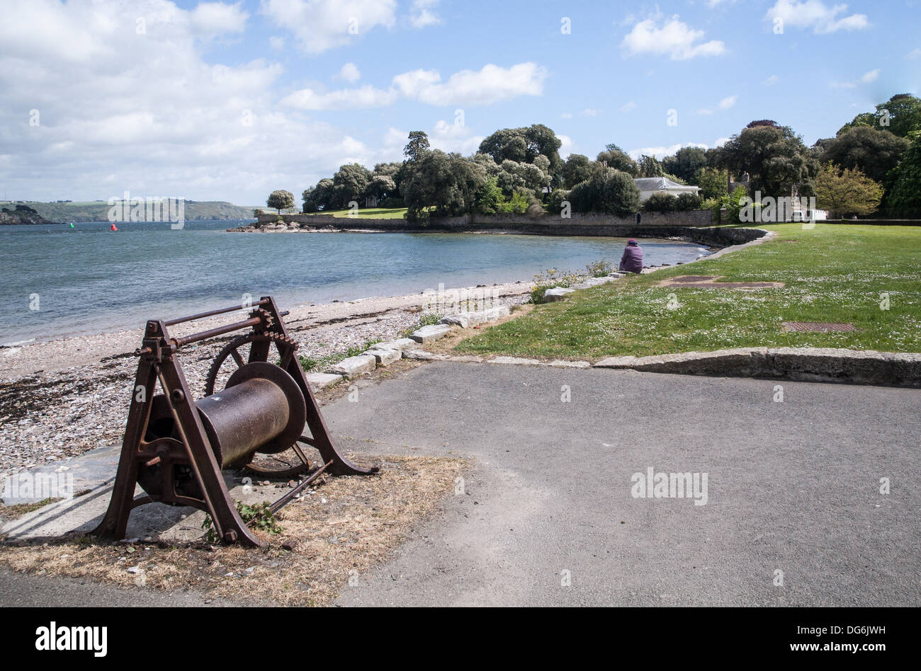 A Display of poppy/s at Plymouth Hoe UK Stock Photo - Alamy