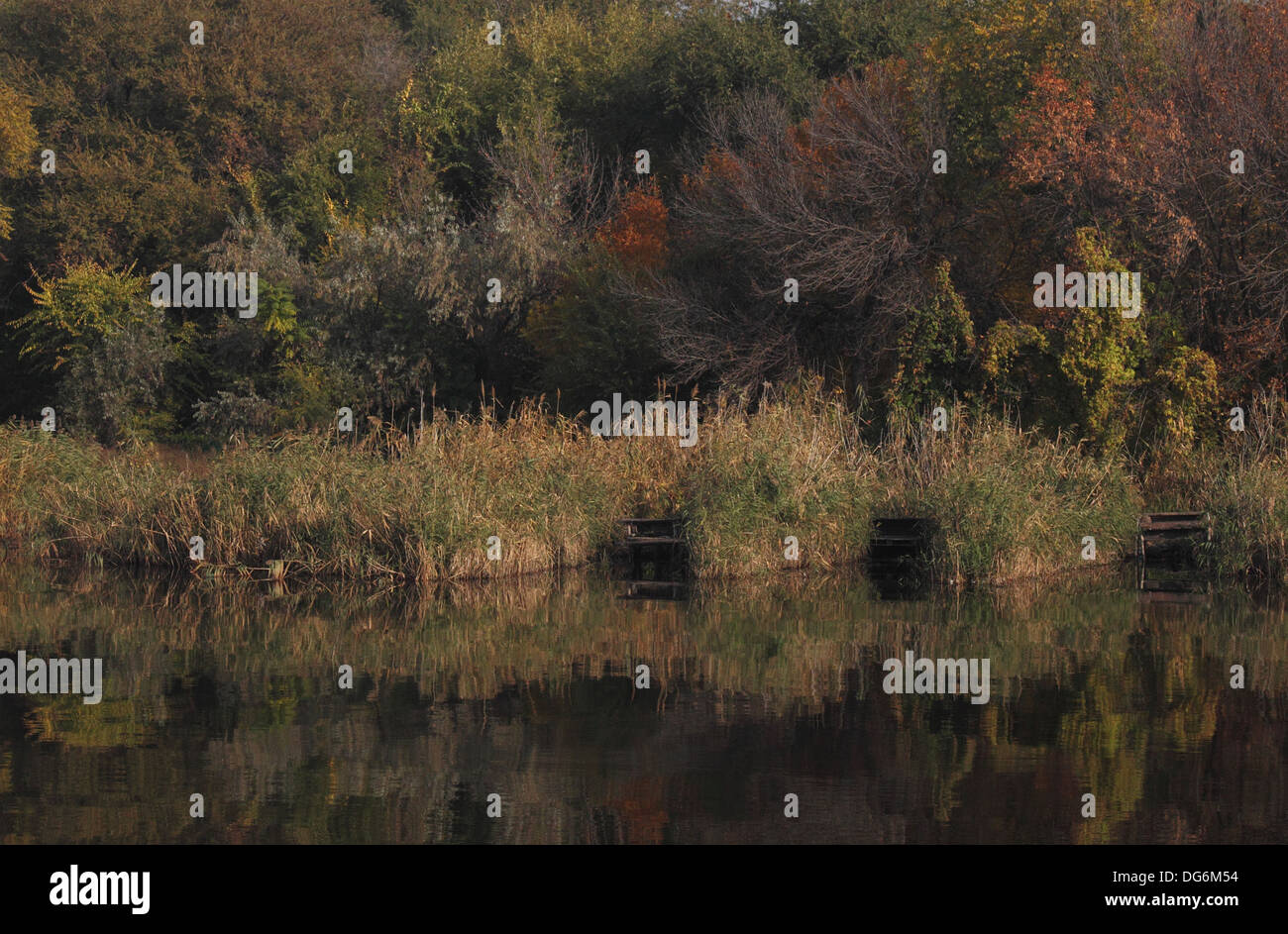Riverside autumn tree hi-res stock photography and images - Alamy