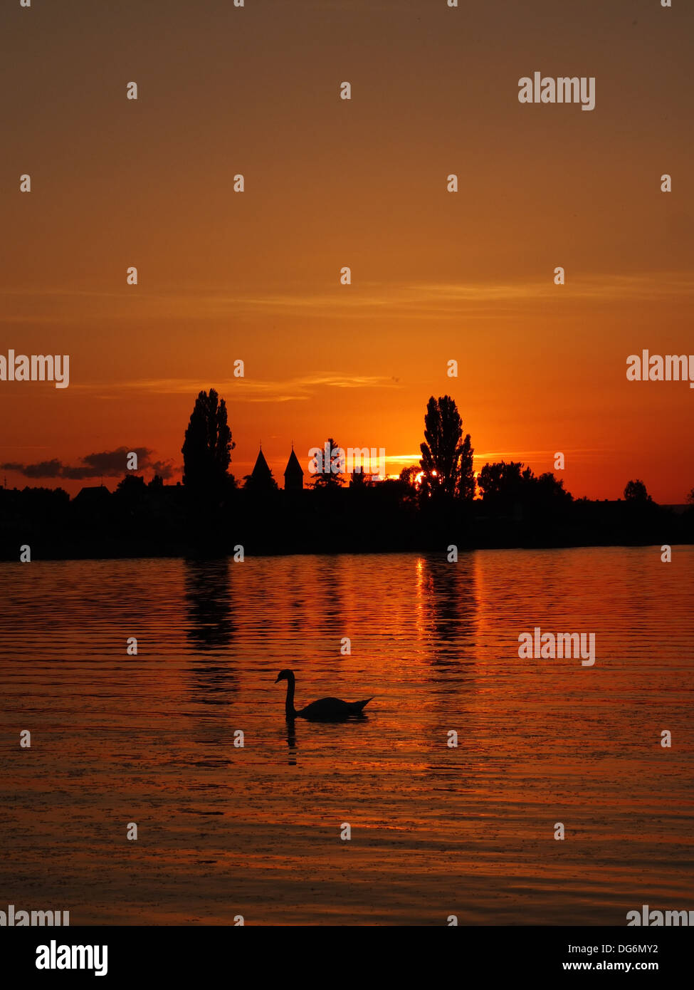 Swan sea sunset hi-res stock photography and images - Alamy