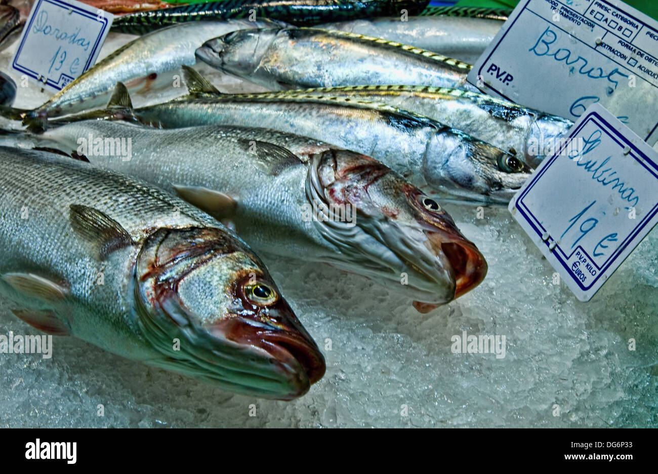 Fresh fish for sale Stock Photo - Alamy