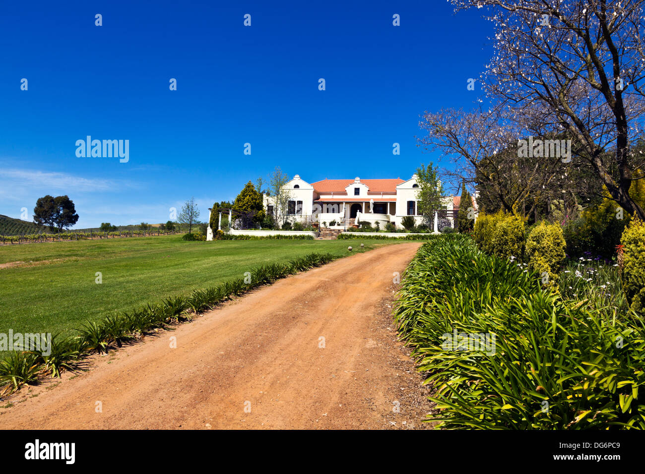 A typical Cape Dutch farm house on a wine farm on the West Coast of ...