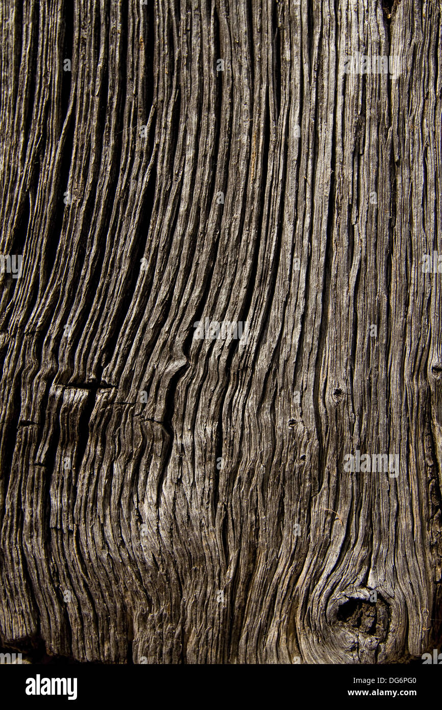 Oak grain pattern hi-res stock photography and images - Alamy