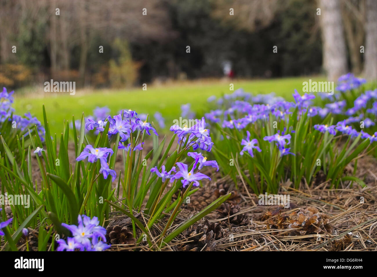 Anne st s hi-res stock photography and images - Alamy