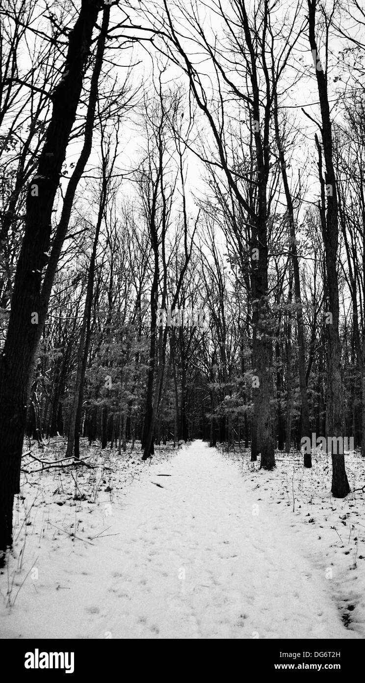 Oak ridge hi-res stock photography and images - Alamy