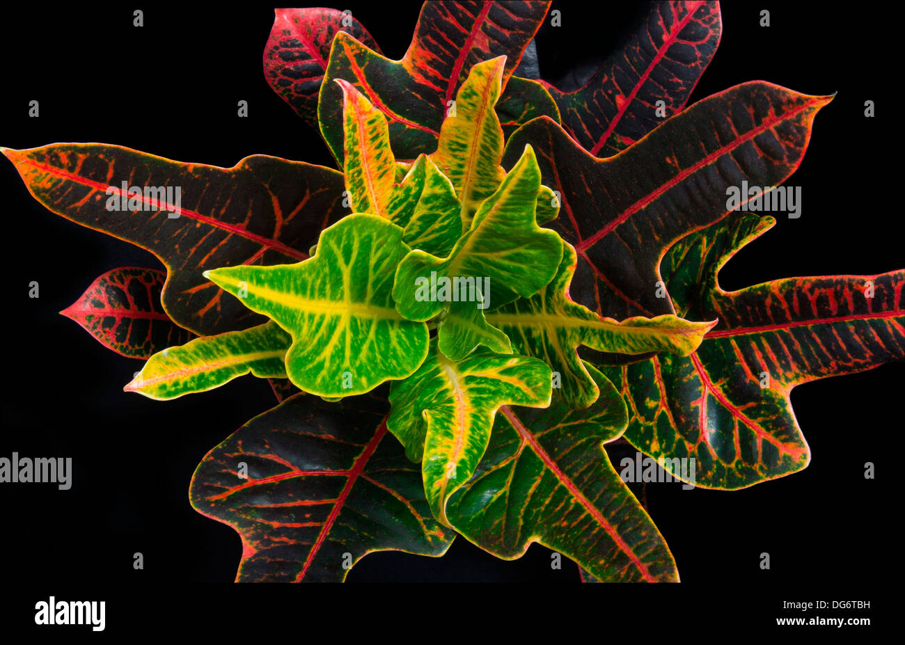 Var excellent hi-res stock photography and images - Alamy