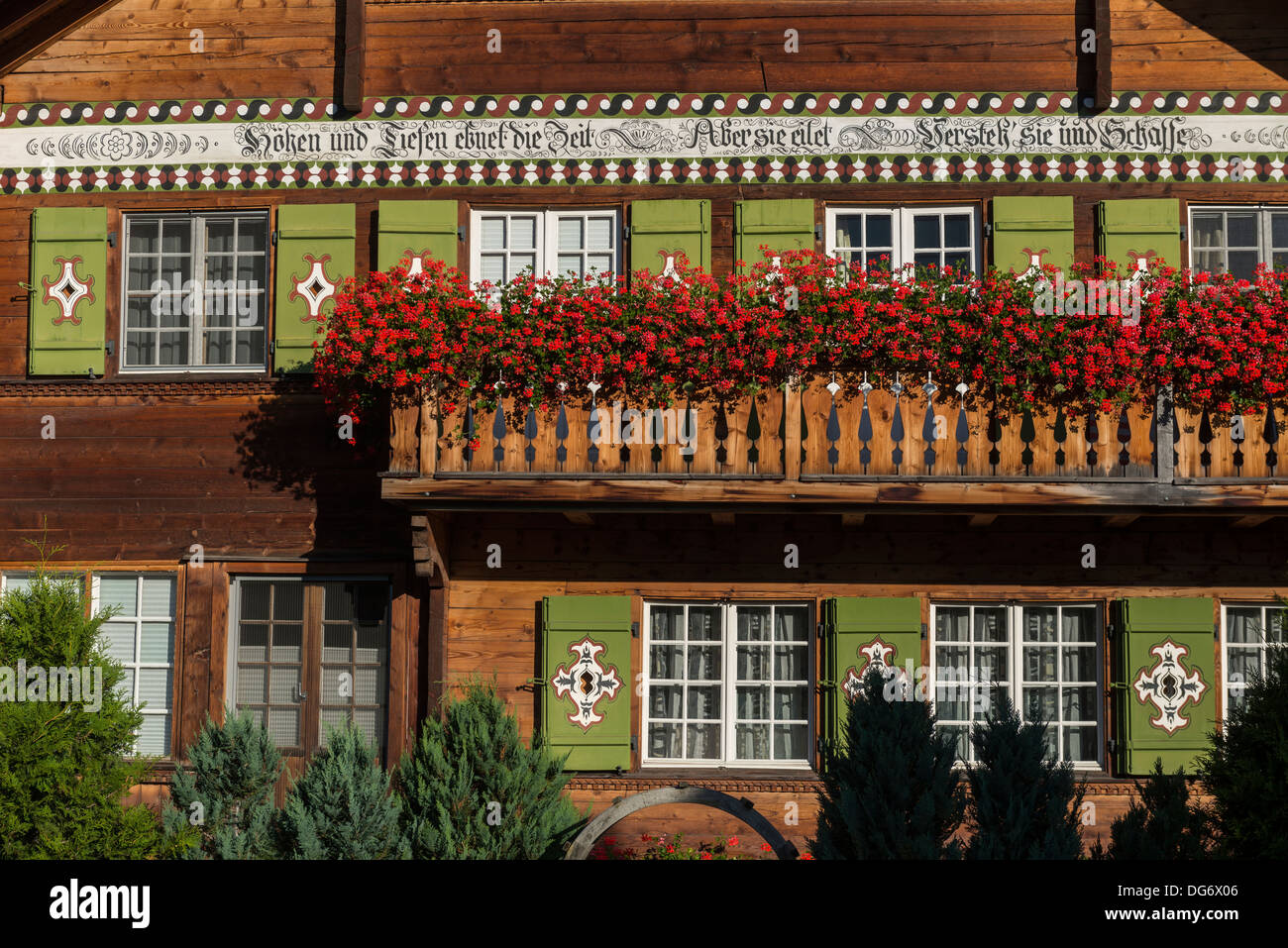 Traditional Alpine House