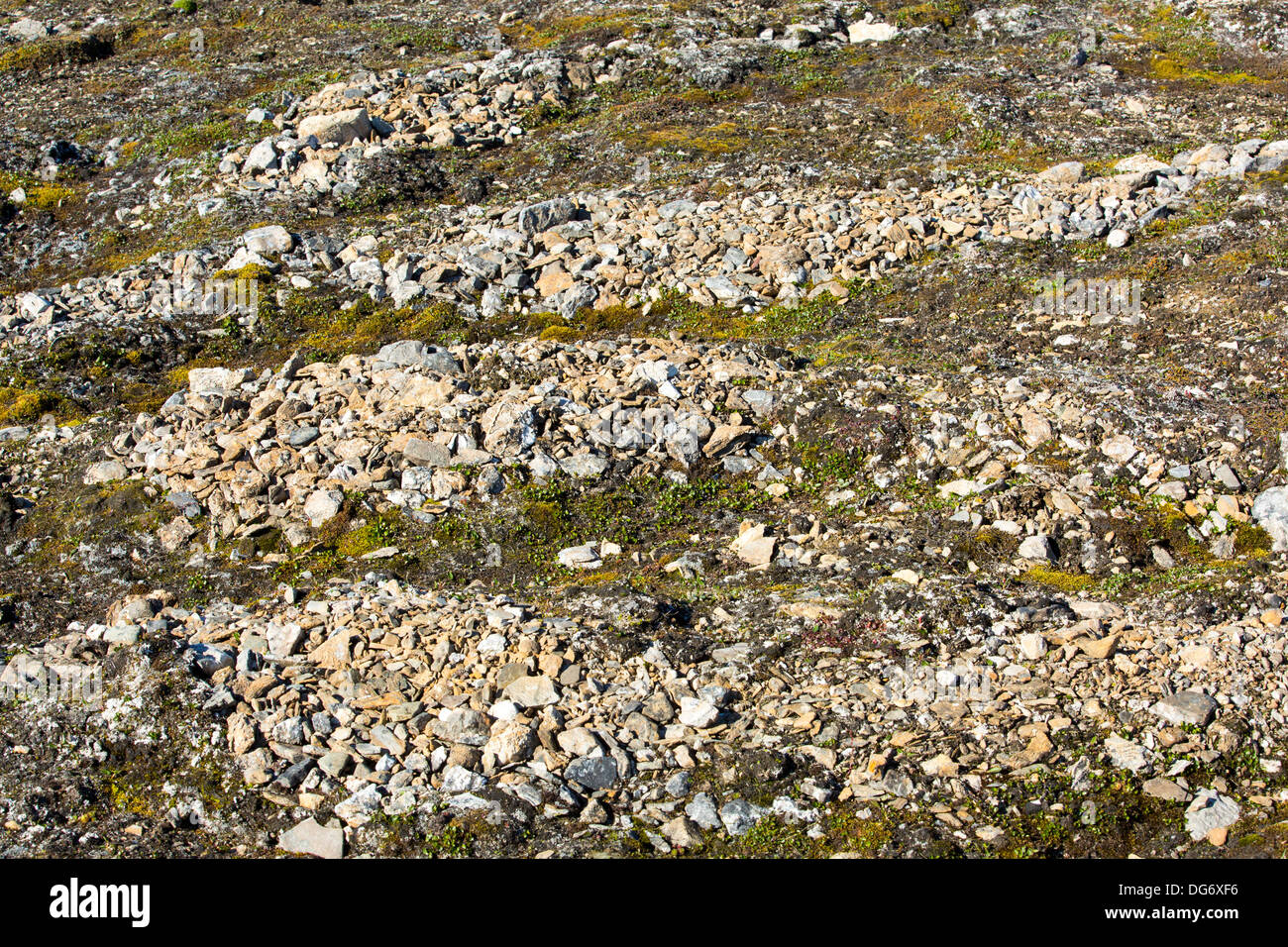 Patterned ground and stone circles formed above permafrost in the high ...