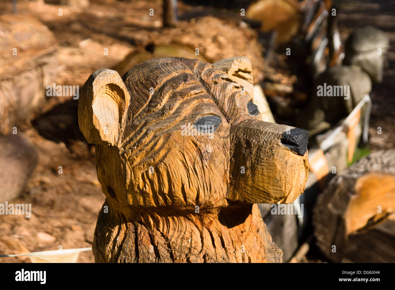 The Dean Heritage Center Forest of Dean Gloucestershire England UK ...