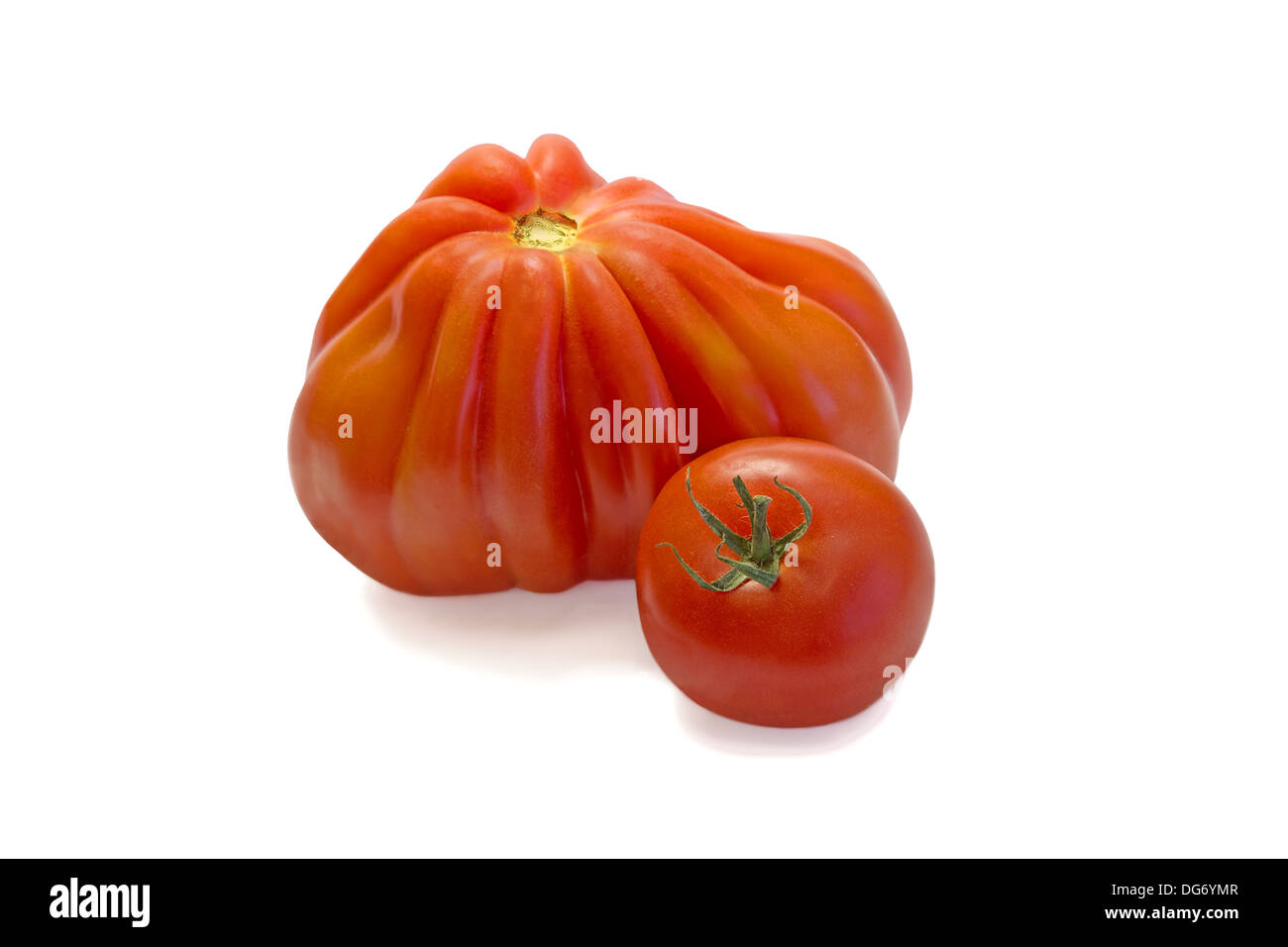 Tomato original form isolated on white background Stock Photo - Alamy