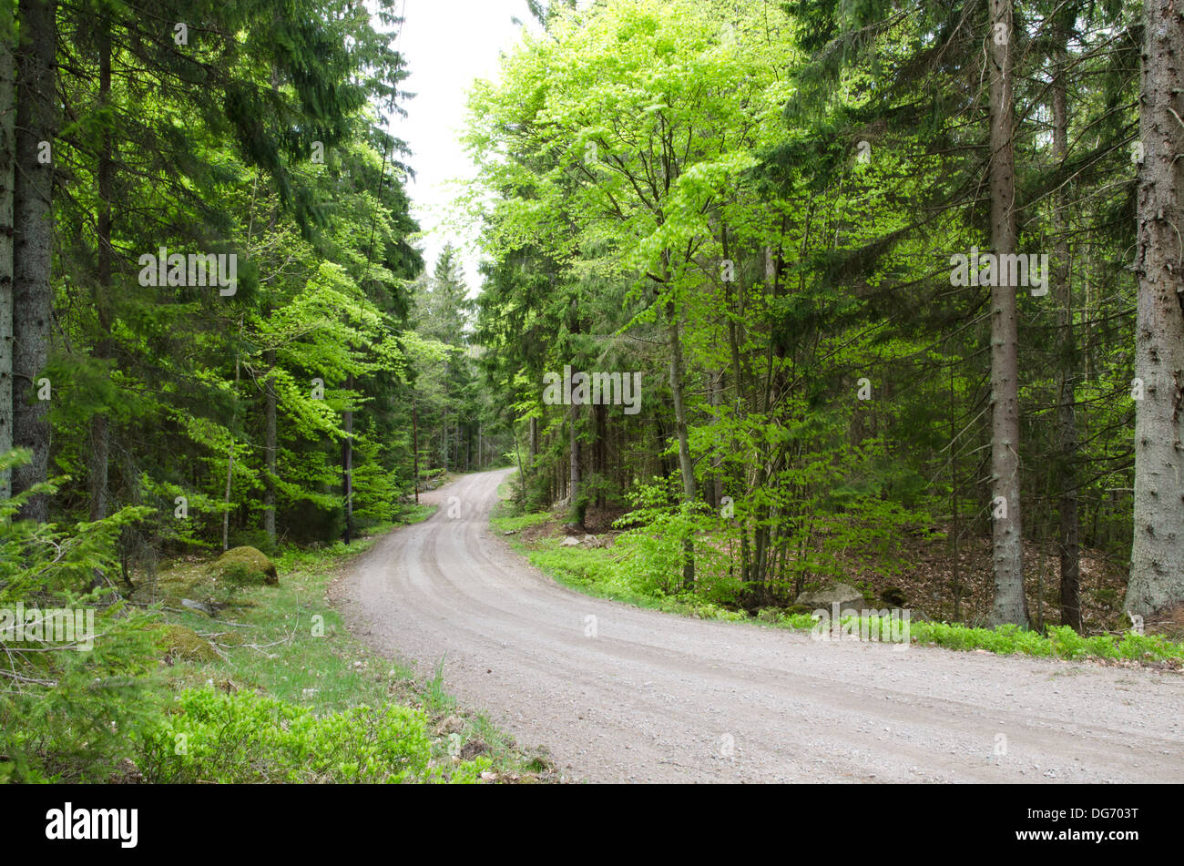 The beech road hi-res stock photography and images - Alamy