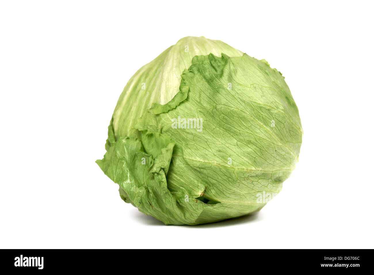 Close-up of whole iceberg lettuce on white background Stock Photo - Alamy